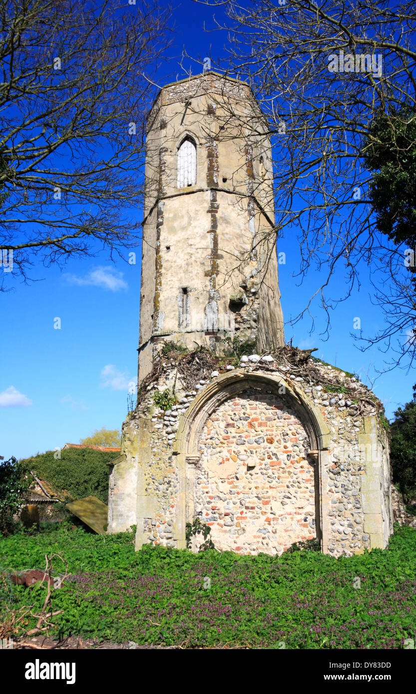 A view of the ruins of the old church of SS Peter and Paul at Edgefield ...
