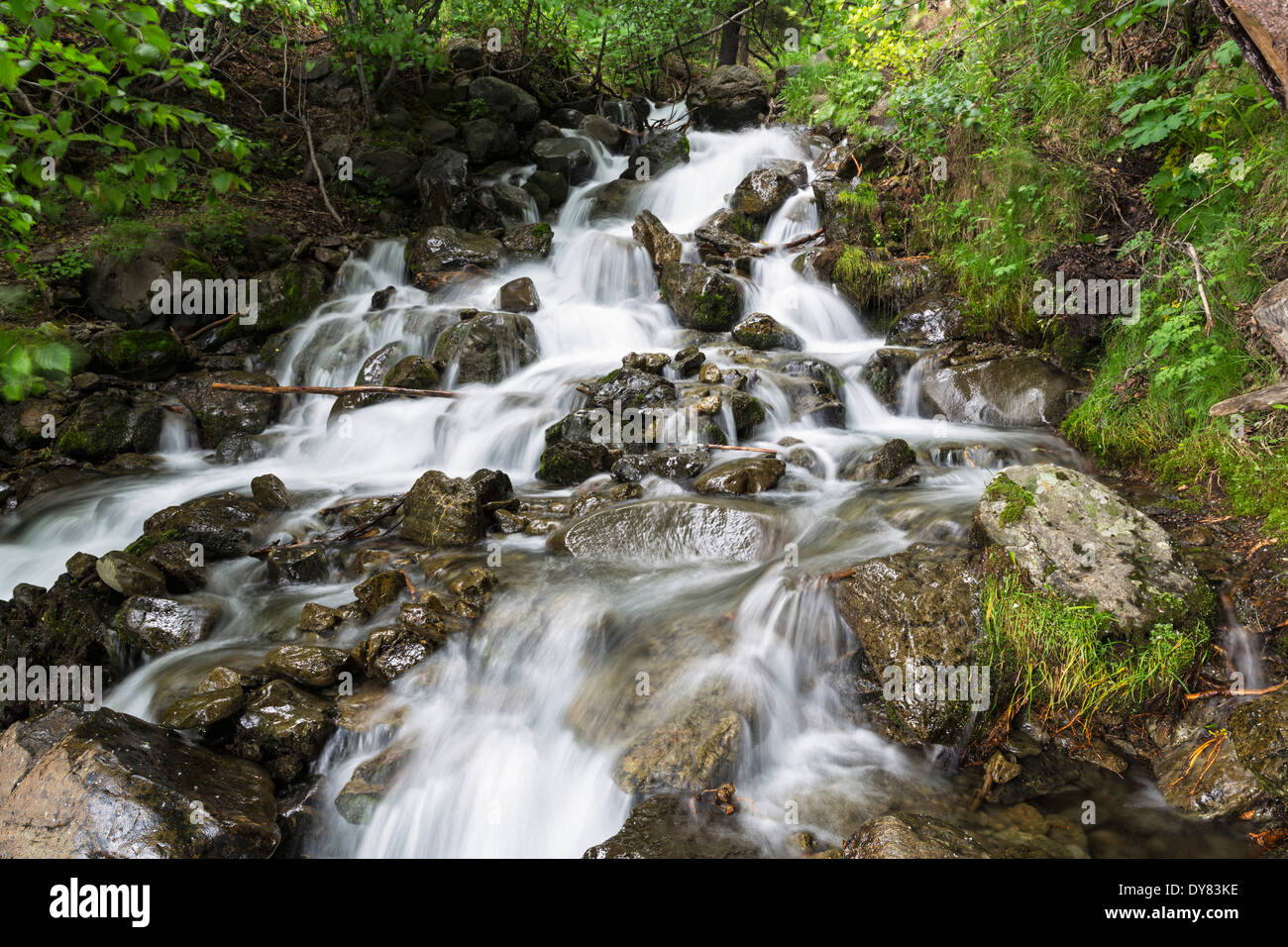 USA, Alaska, Turnagain Arm at Cook Inlet, Falls Creek, waterfall Stock ...