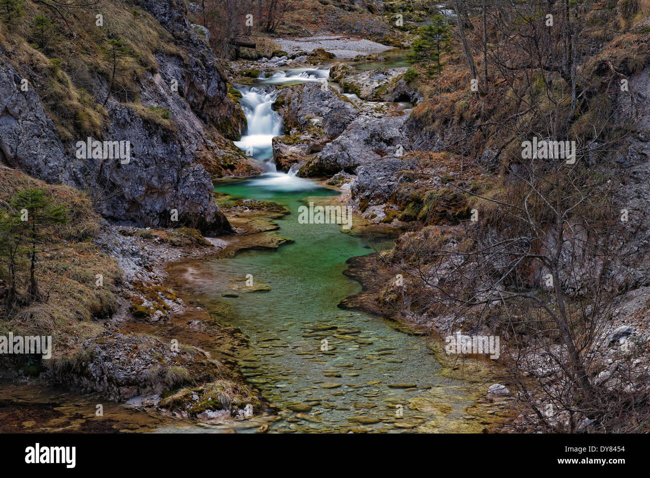 Austria, Lower Austria, Oetscher-Tormaeuer Nature reserve, Oetscherbach ...
