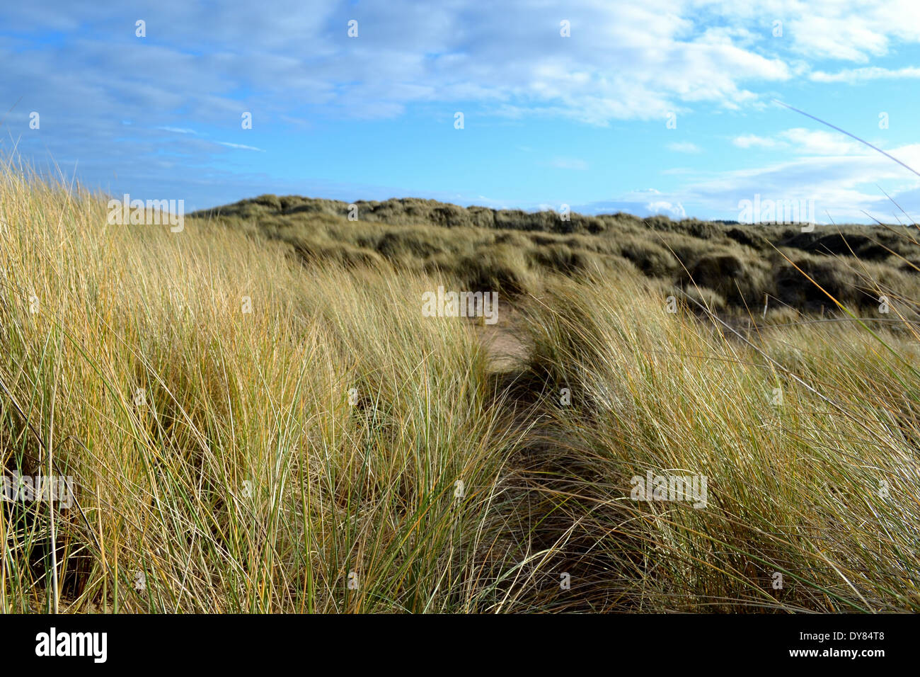 Ainsdale beach hi-res stock photography and images - Alamy