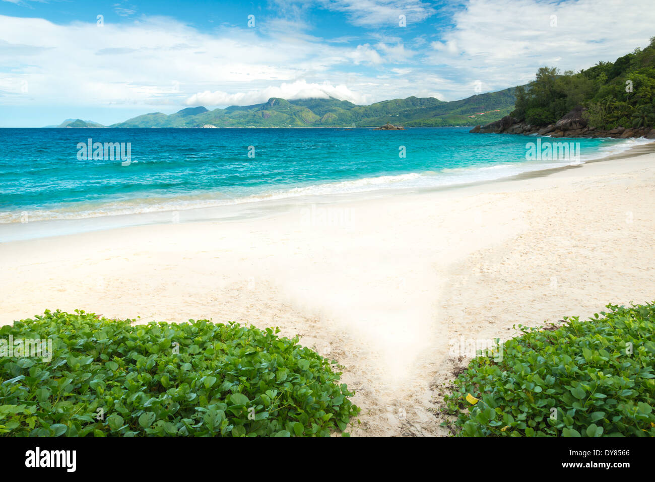 tropical beach with turquoise water Stock Photo - Alamy