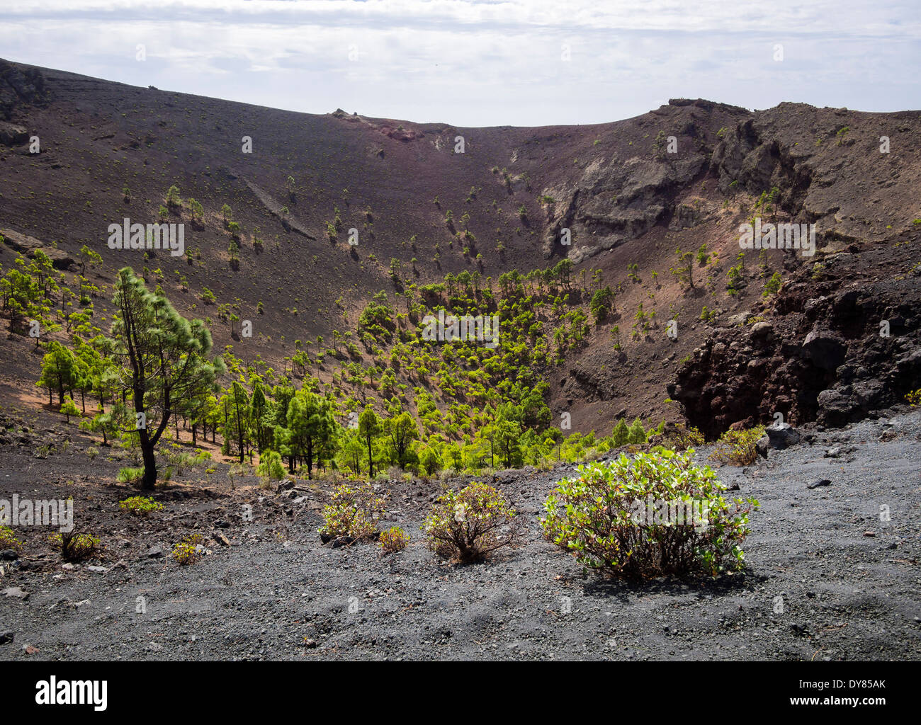 Volcan la palma hi-res stock photography and images - Alamy