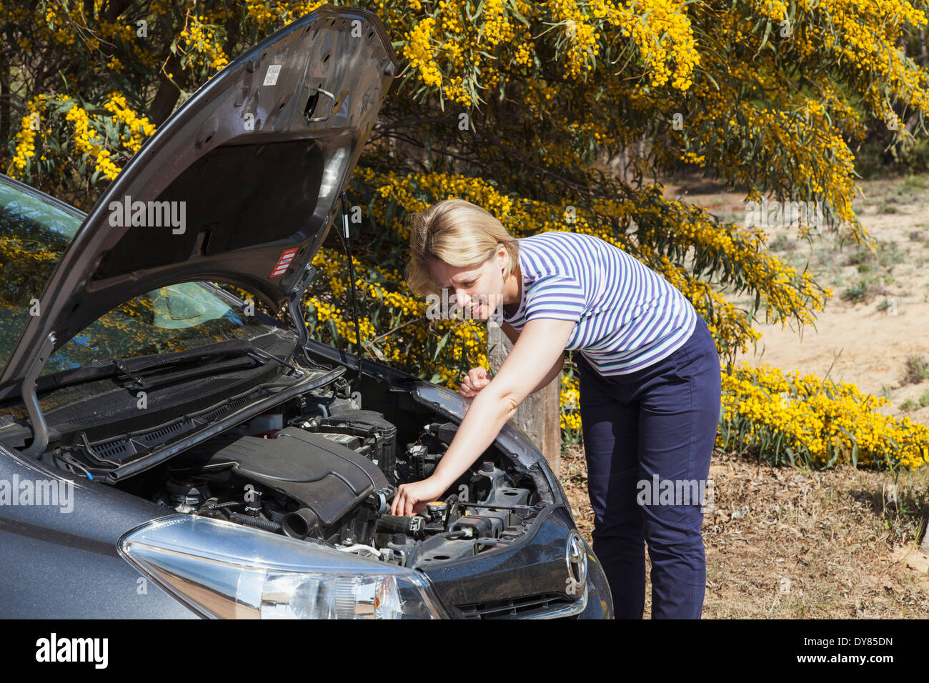 Breakdown Stock Photos & Breakdown Stock Images - Alamy