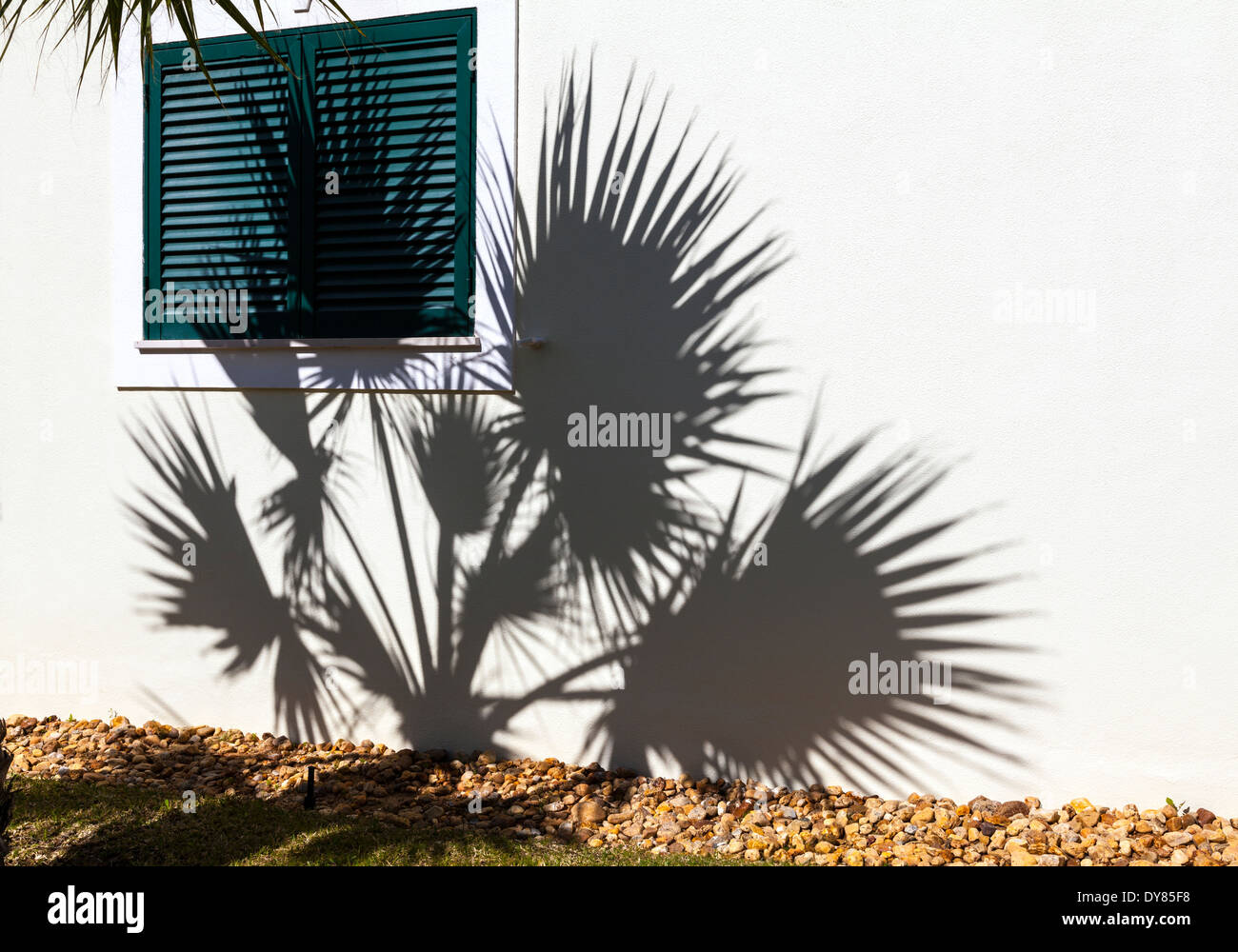 Tree shadows on wall hi-res stock photography and images - Alamy
