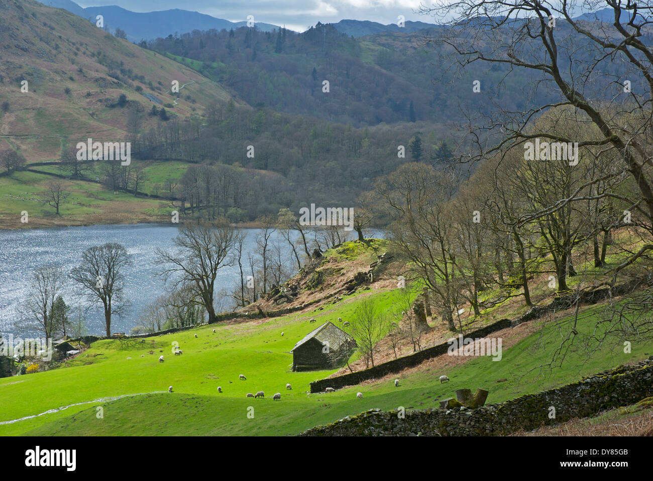 Rydal Water, Lake District National Park, Cumbria, England UK Stock ...