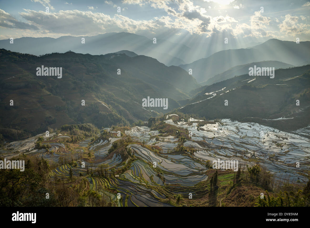 China, Yunnan, Yuanyang, Rice terraces Stock Photo - Alamy