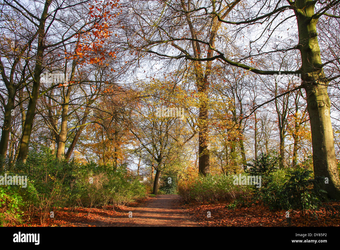 Beautiful colors in park Stock Photo - Alamy