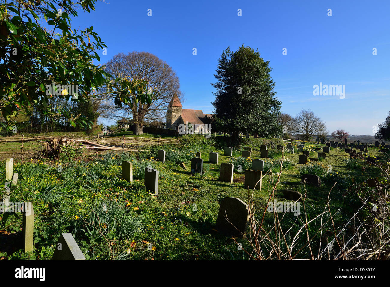 Olive brockwell hi-res stock photography and images - Alamy