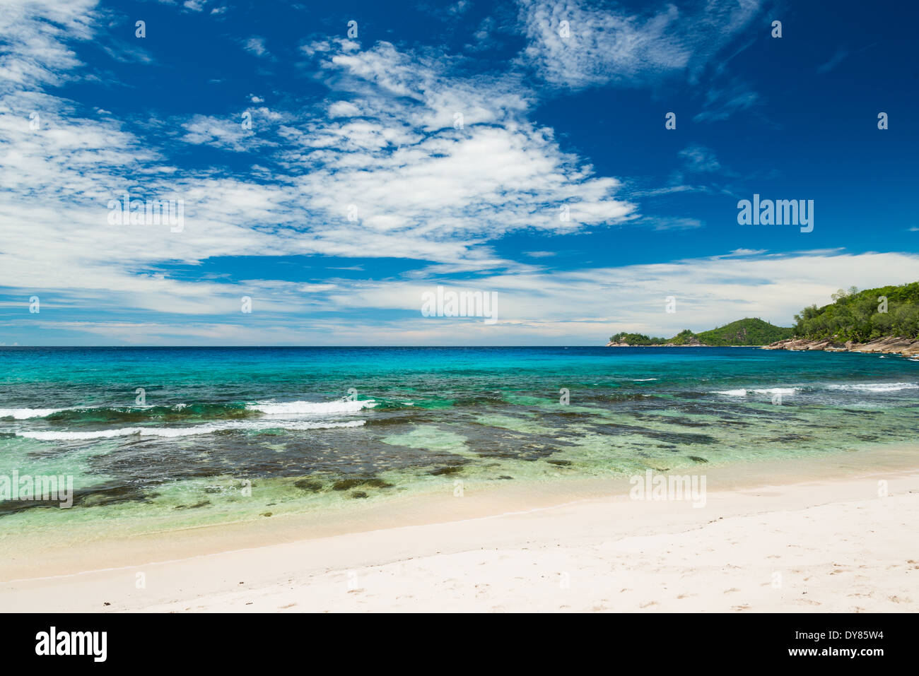 tropical beach with turquoise water Stock Photo - Alamy