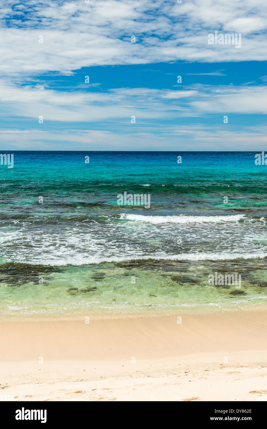 tropical beach with turquoise water Stock Photo - Alamy