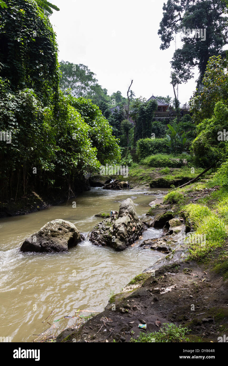 One of the many rivers in Bali and the surrounding jungle Stock Photo ...
