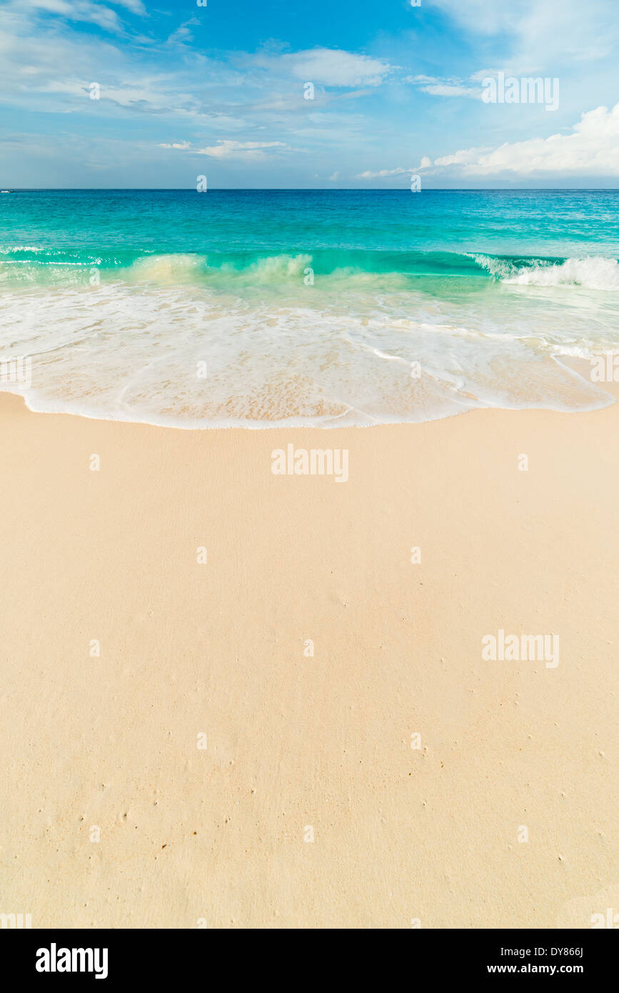 tropical beach with turquoise water Stock Photo - Alamy