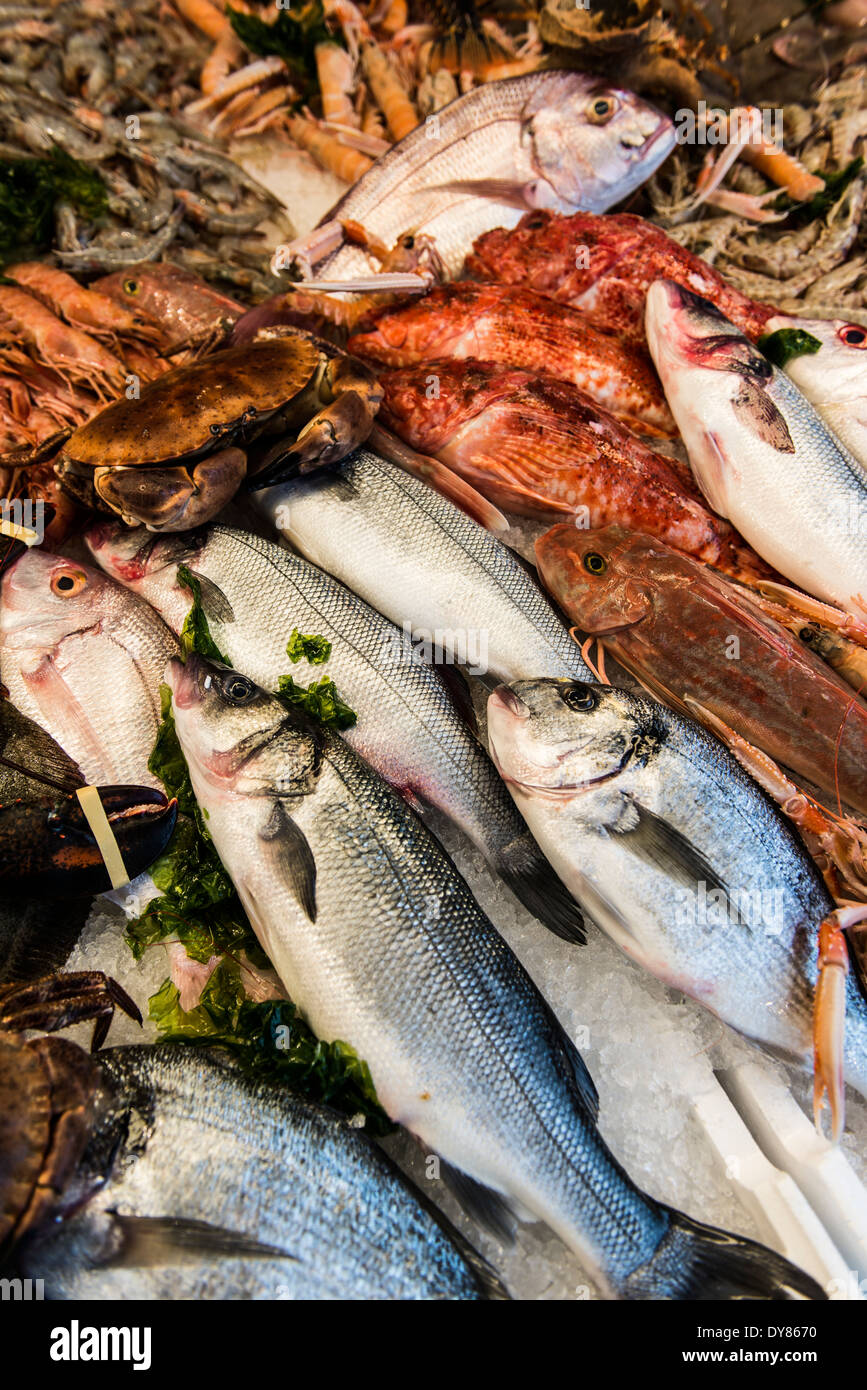Italy, Gaeta, Fresh fish at fishmarket, close up Stock Photo - Alamy