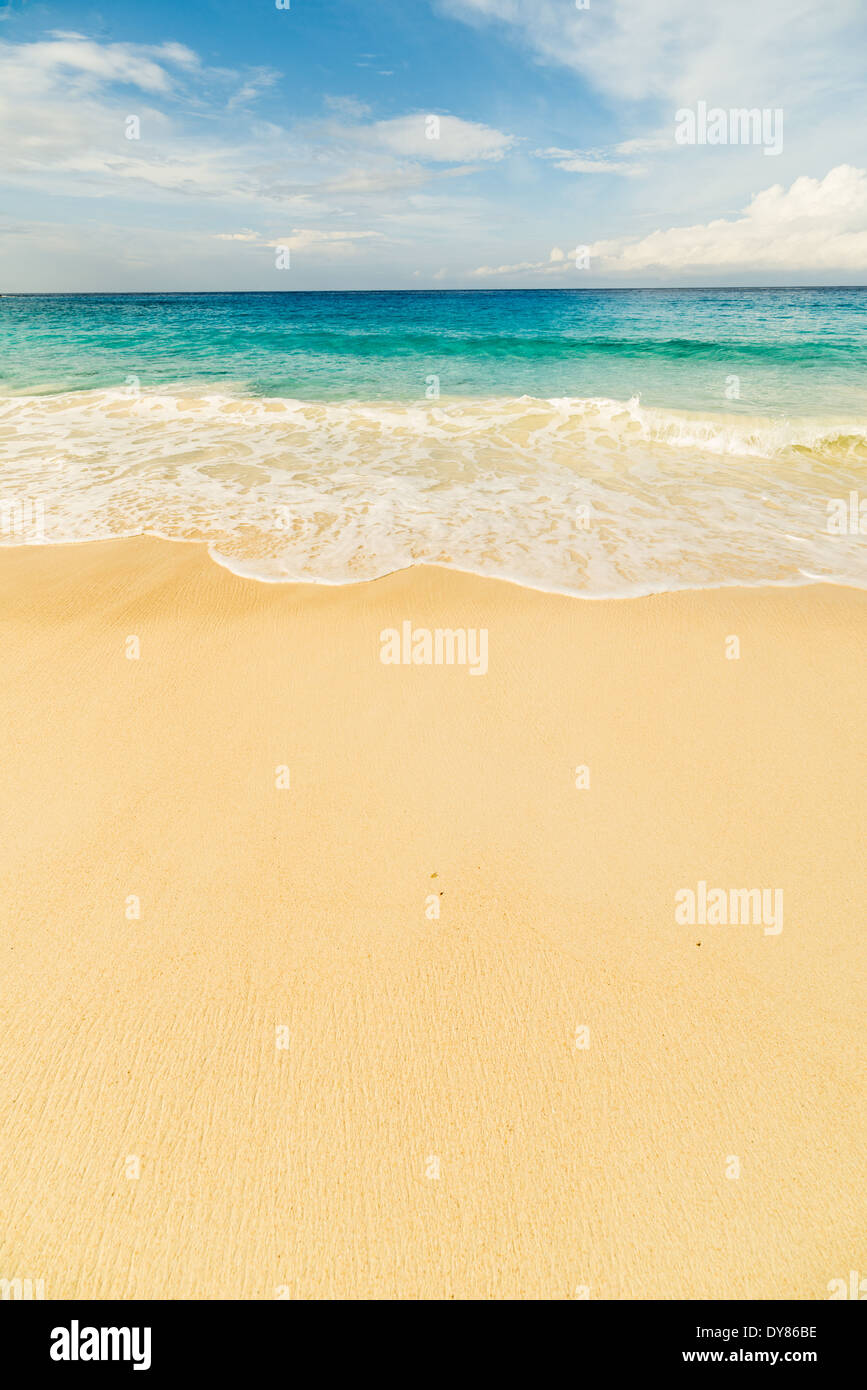 tropical beach with turquoise water Stock Photo - Alamy