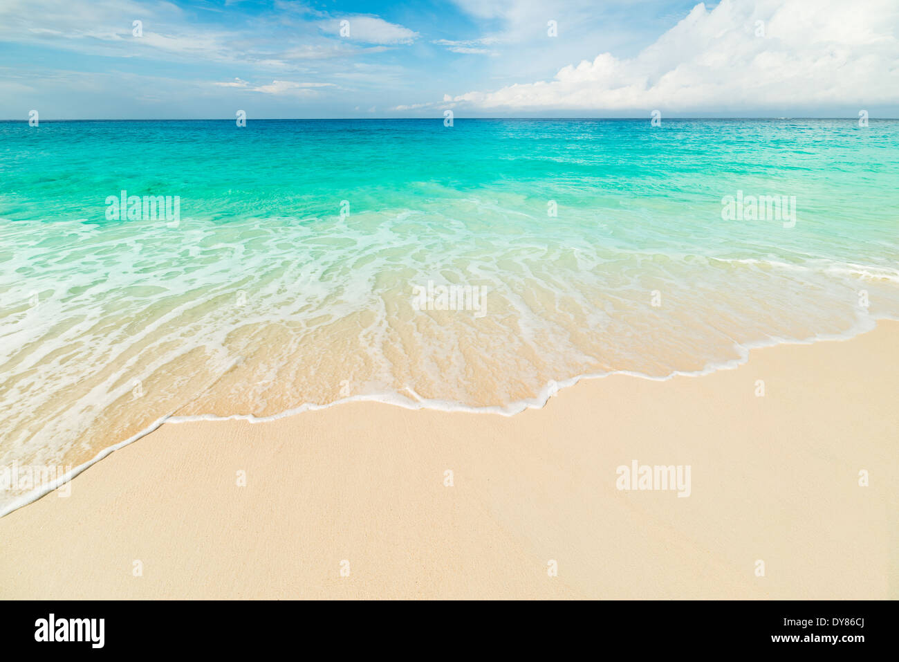 tropical beach with turquoise water Stock Photo - Alamy