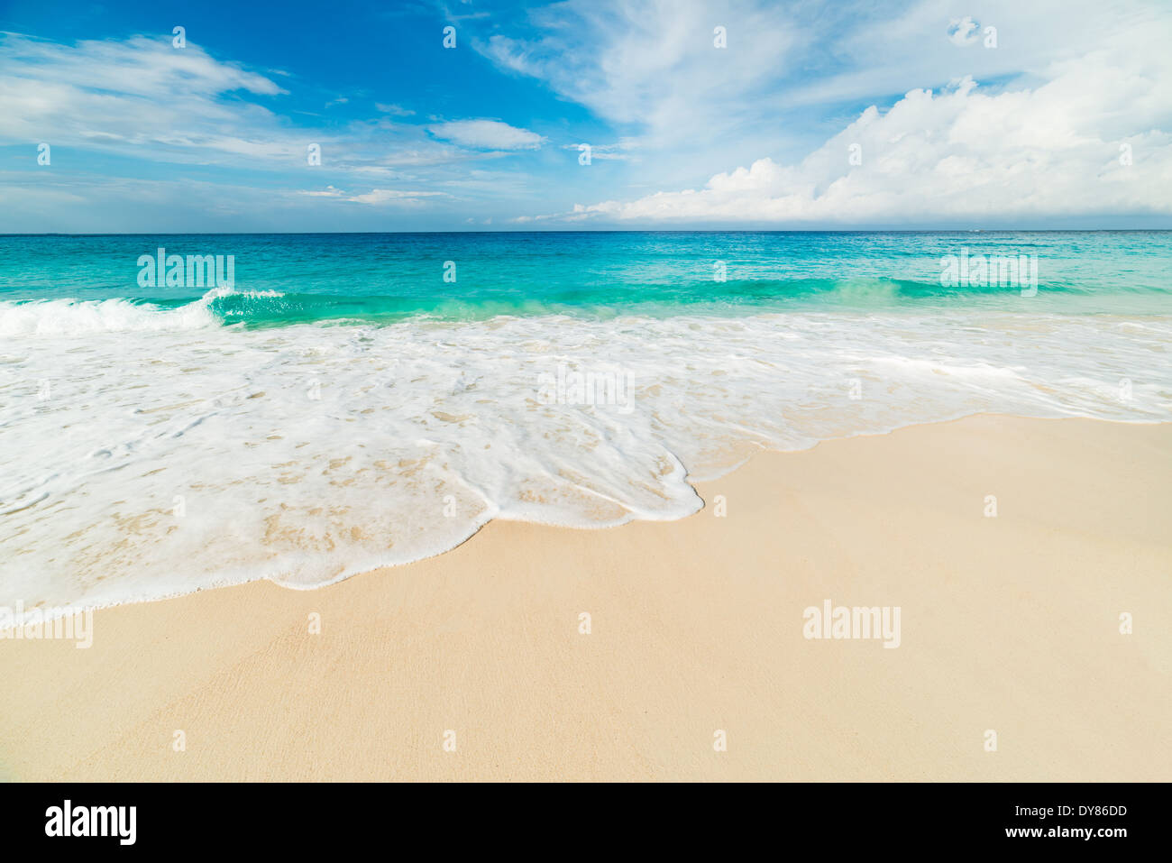 tropical beach with turquoise water Stock Photo - Alamy