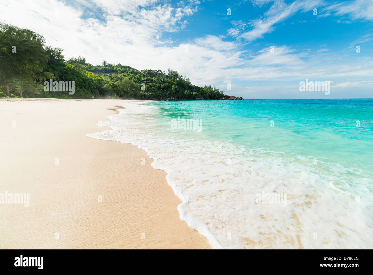 tropical beach with turquoise water Stock Photo - Alamy