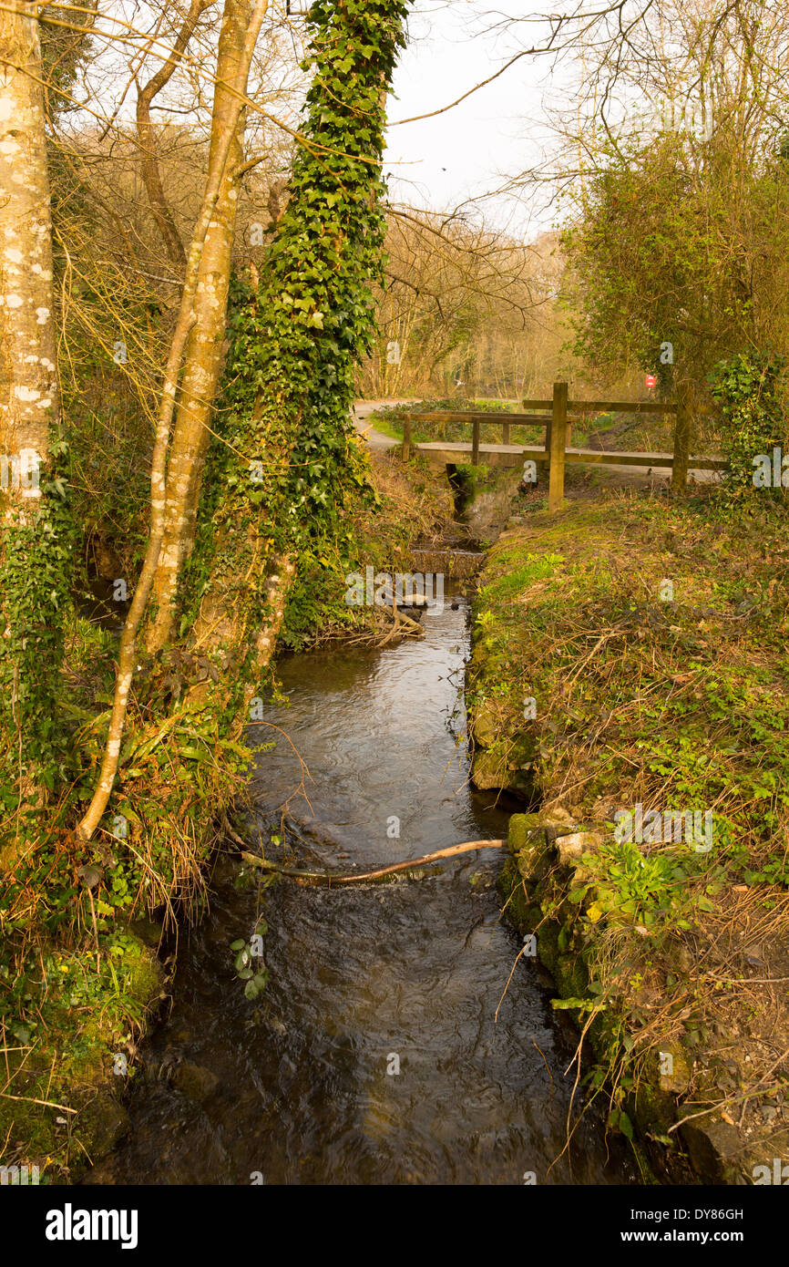 Tehidy camborne hi-res stock photography and images - Alamy