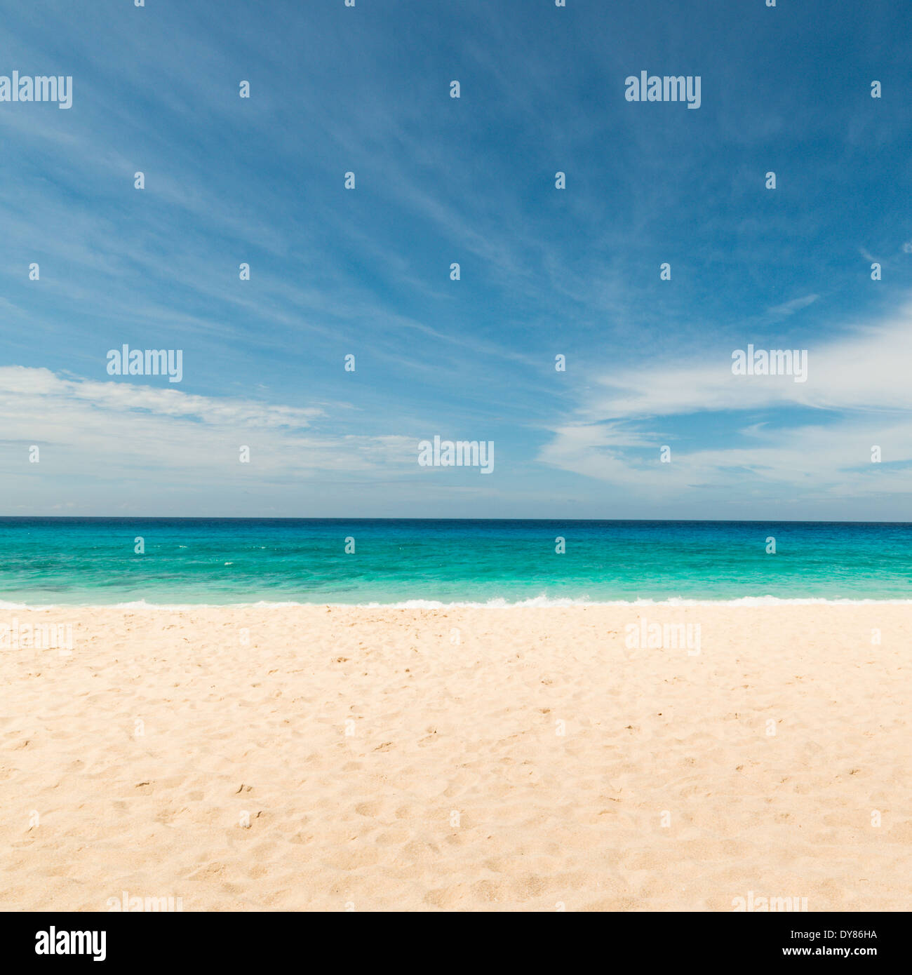 tropical beach with turquoise water Stock Photo - Alamy