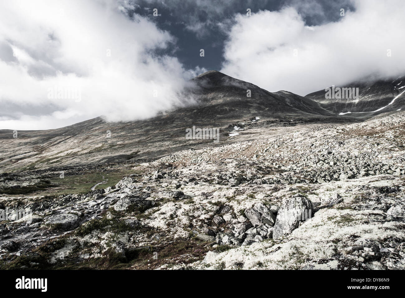 Rondane National Park, Norway Stock Photo - Alamy