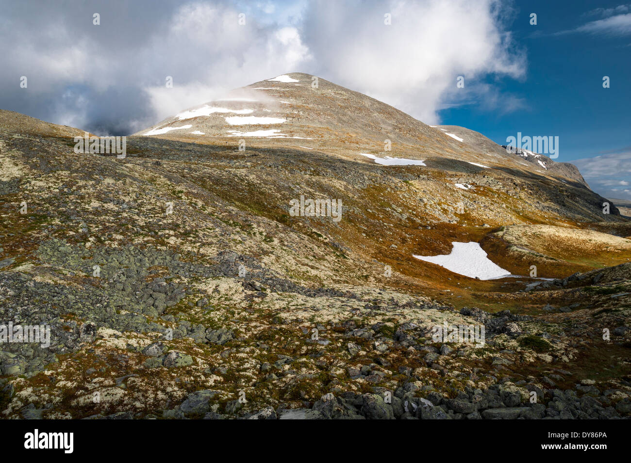 Rondane National Park, Norway Stock Photo - Alamy
