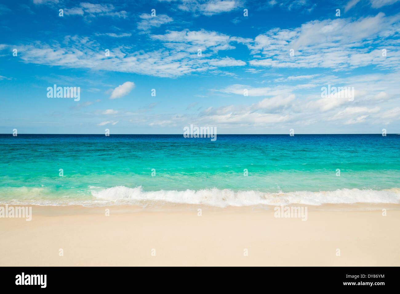 tropical beach with turquoise water Stock Photo - Alamy