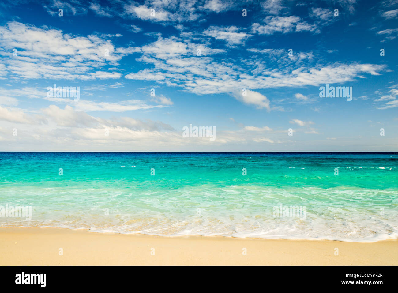 tropical beach with turquoise water Stock Photo - Alamy