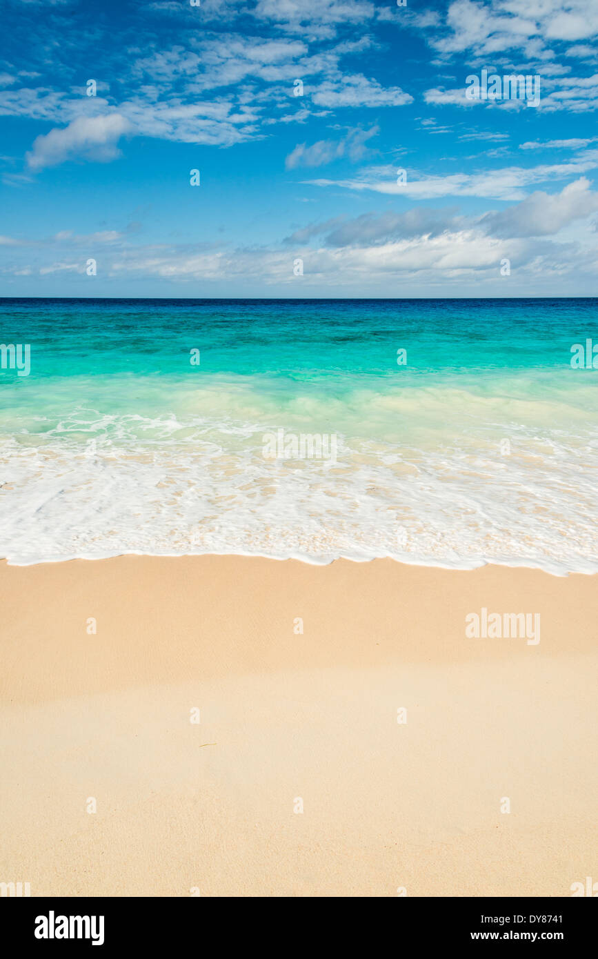 tropical beach with turquoise water Stock Photo - Alamy