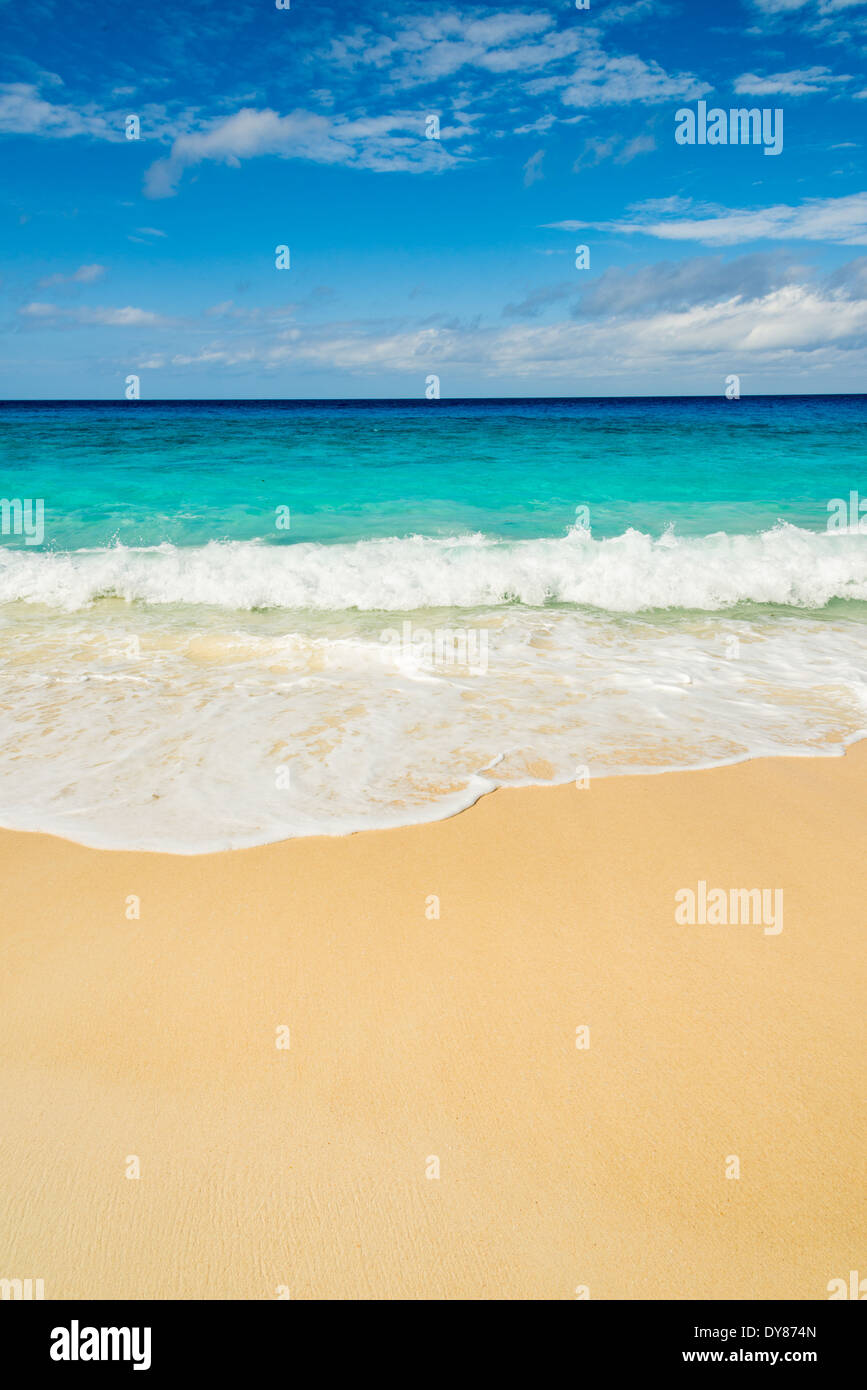 tropical beach with turquoise water Stock Photo - Alamy