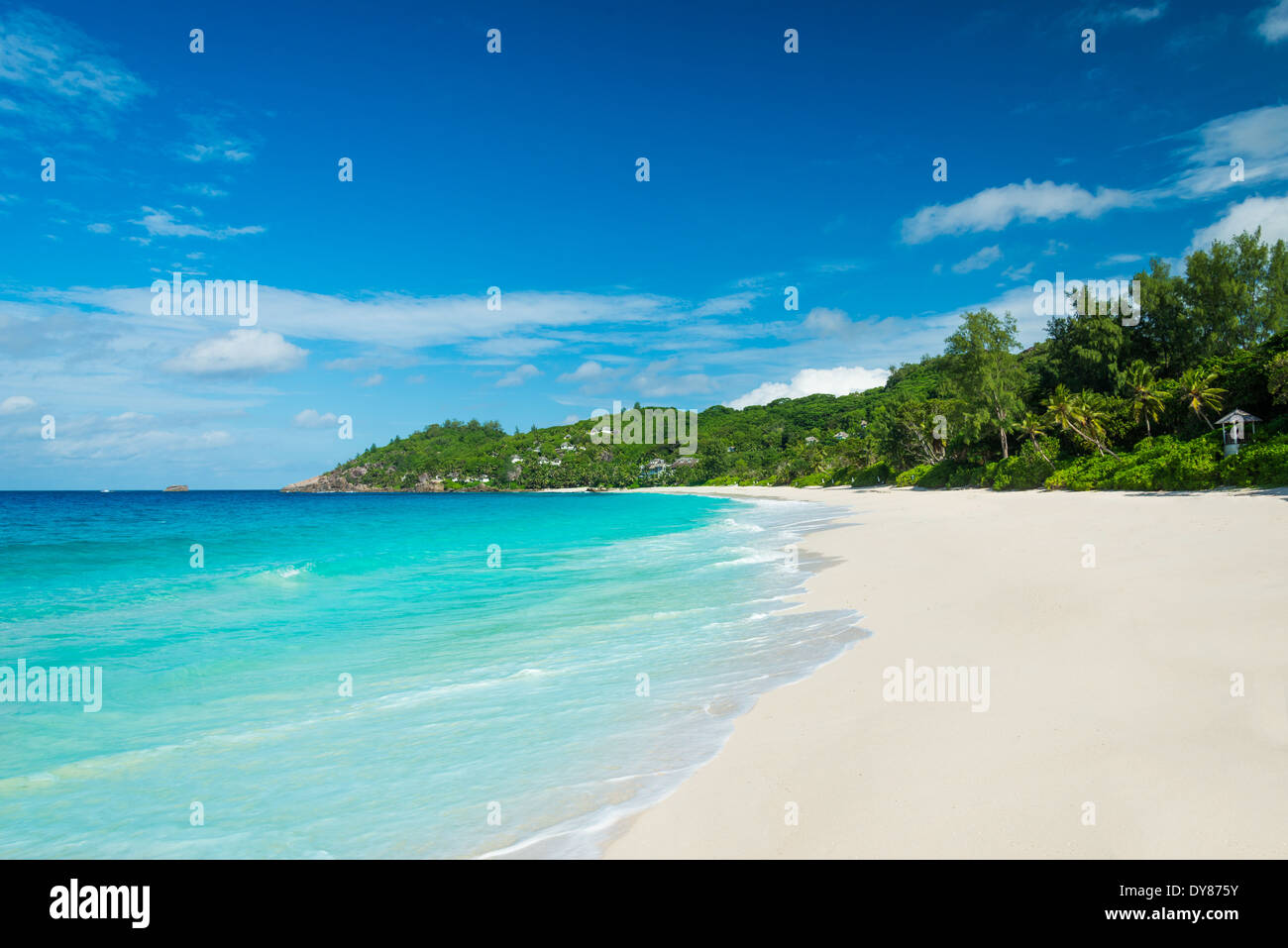 tropical beach with turquoise water Stock Photo - Alamy