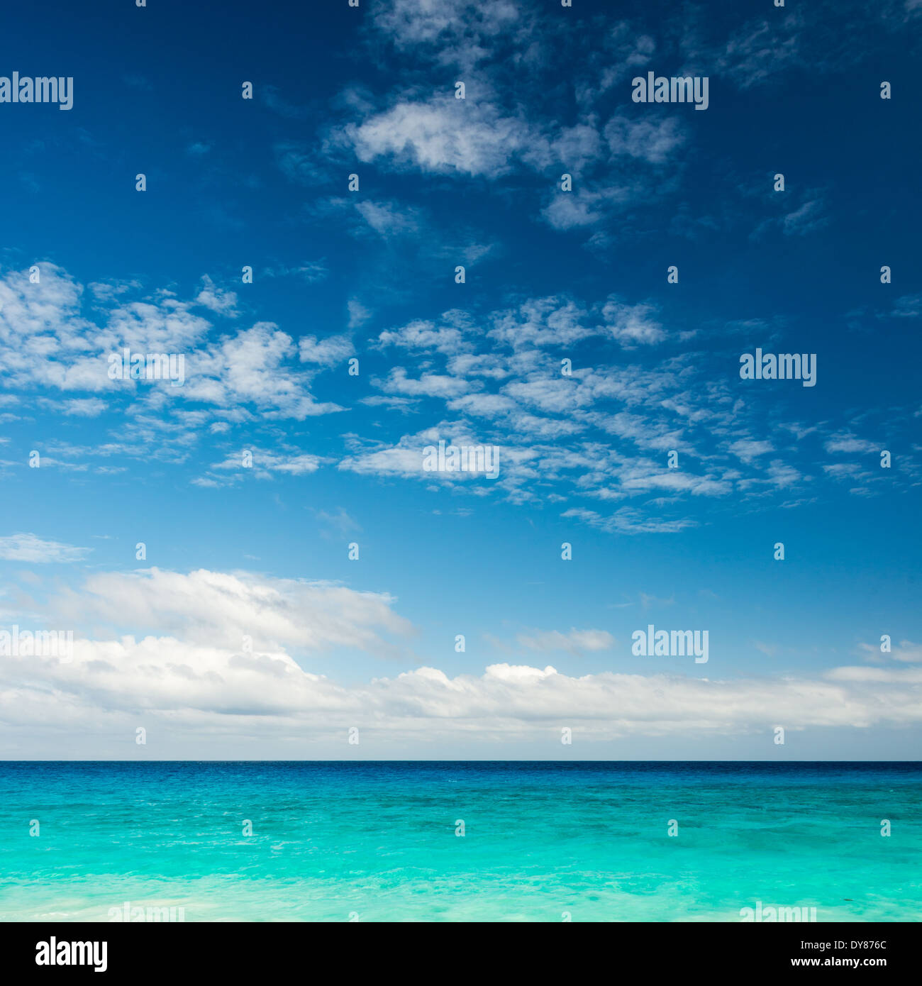 tropical beach with turquoise water Stock Photo - Alamy