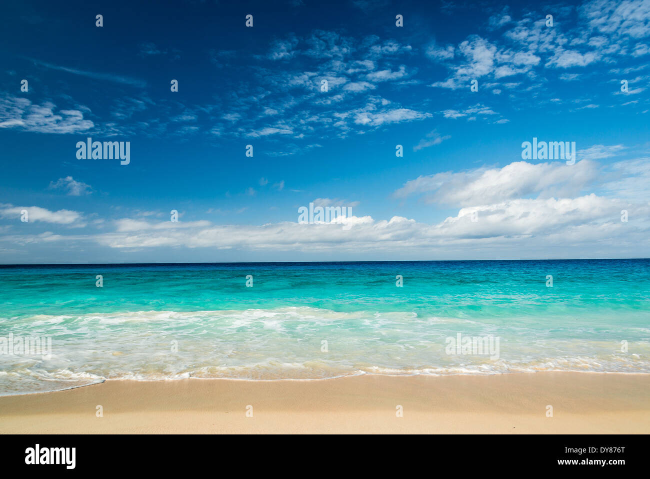 tropical beach with turquoise water Stock Photo - Alamy