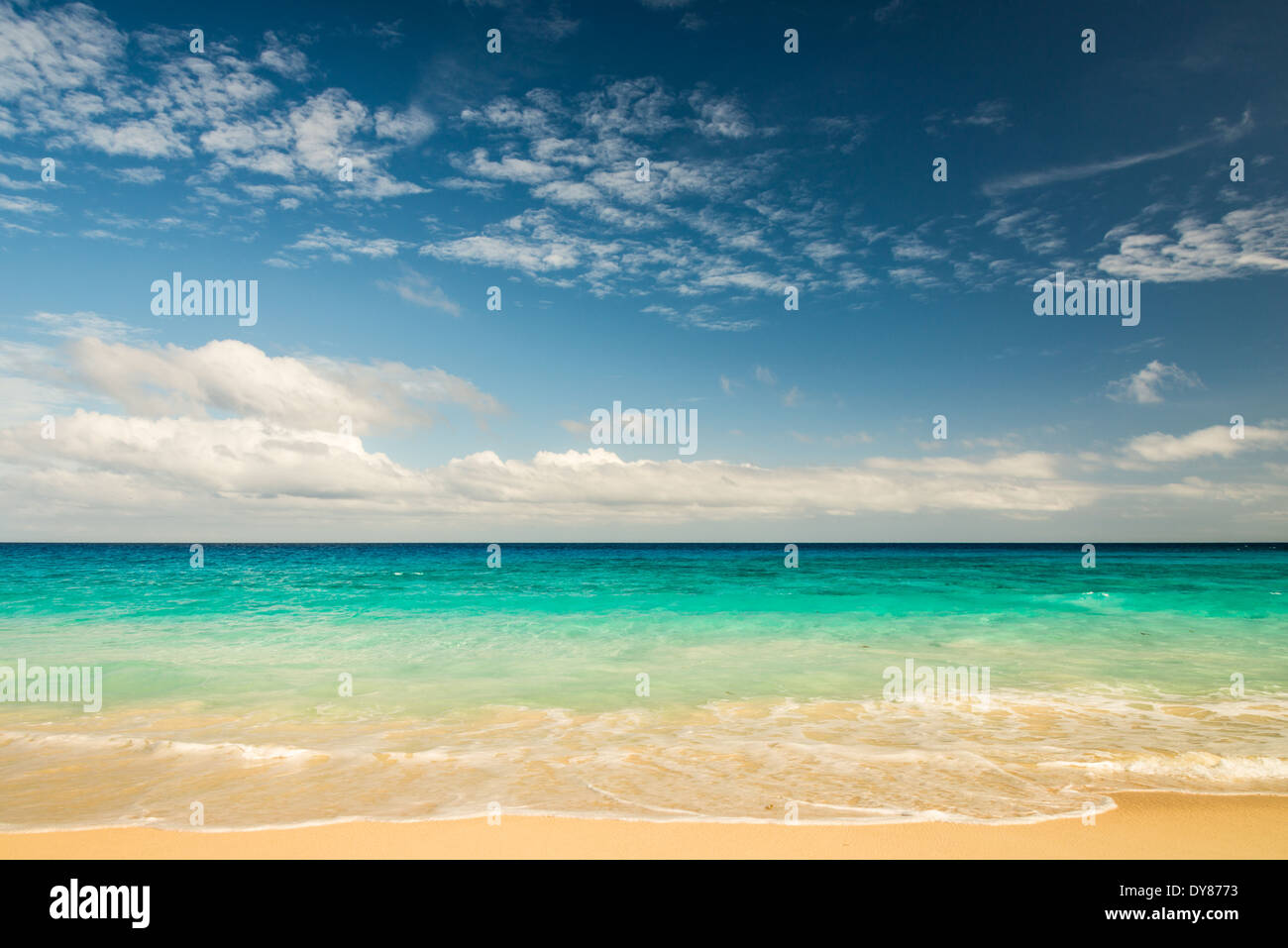tropical beach with turquoise water Stock Photo - Alamy