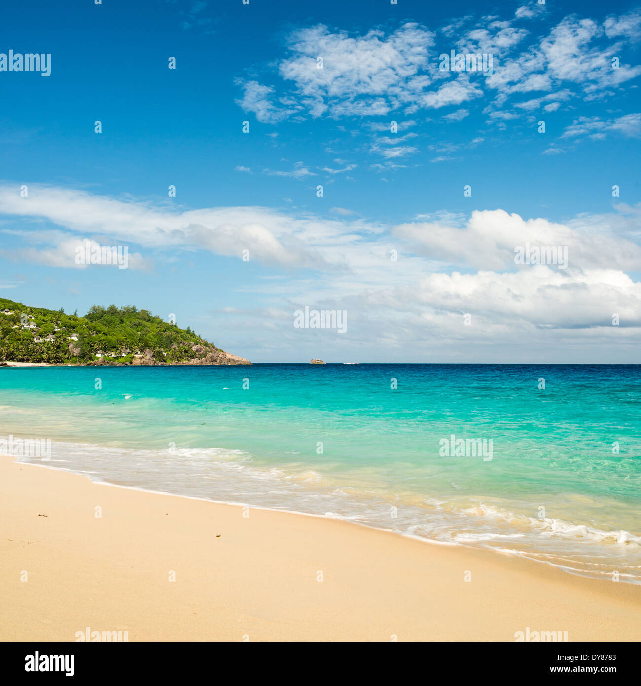 tropical beach with turquoise water Stock Photo - Alamy