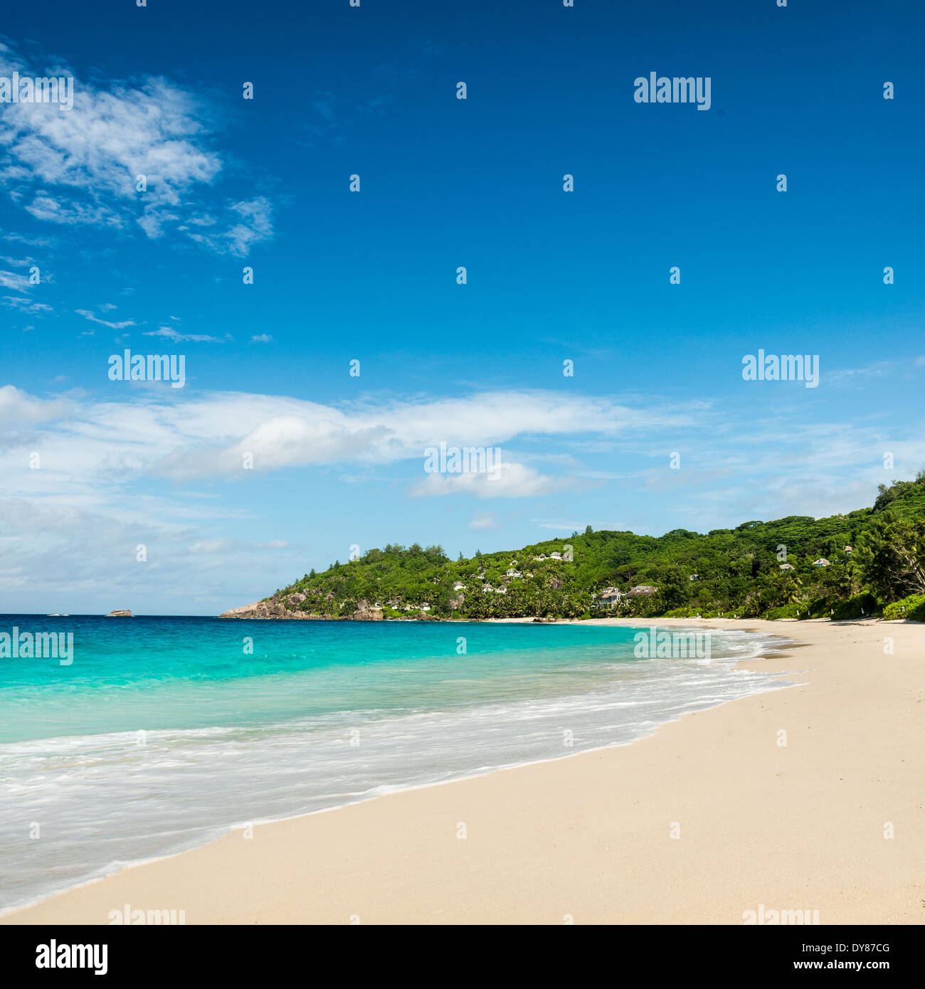 tropical beach with turquoise water Stock Photo - Alamy