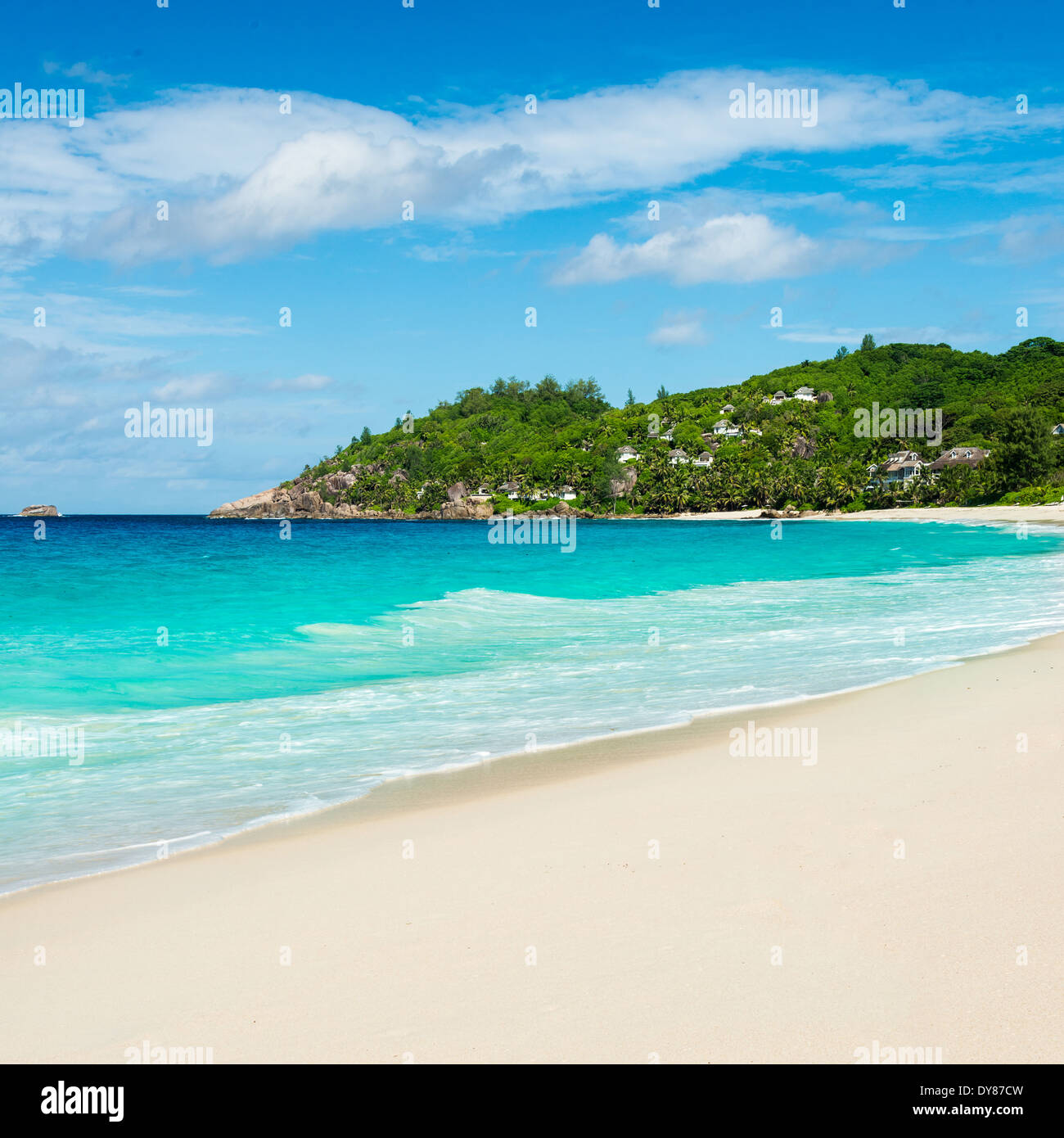 tropical beach with turquoise water Stock Photo - Alamy