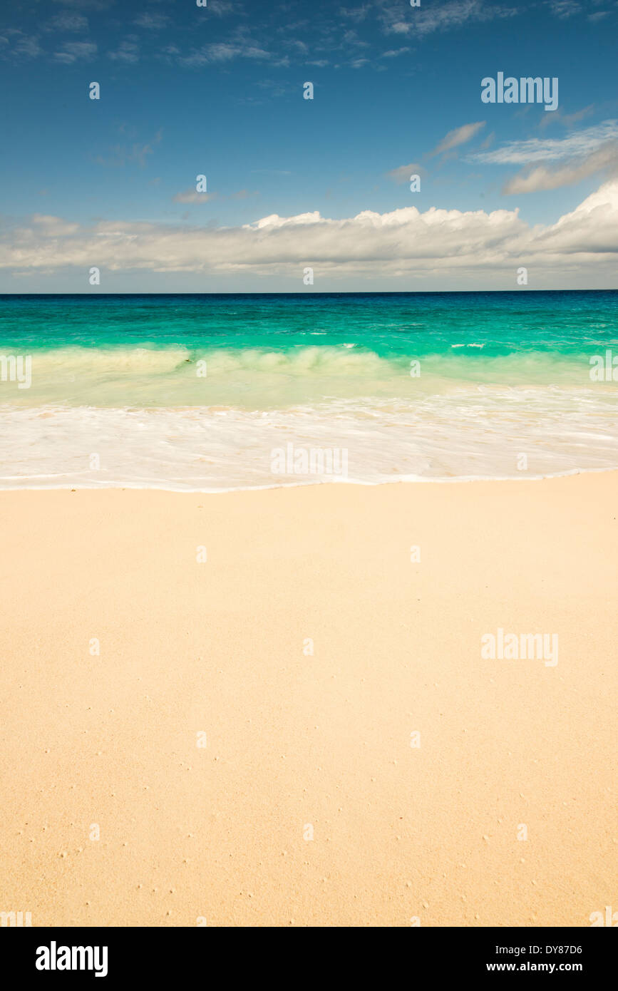tropical beach with turquoise water Stock Photo - Alamy