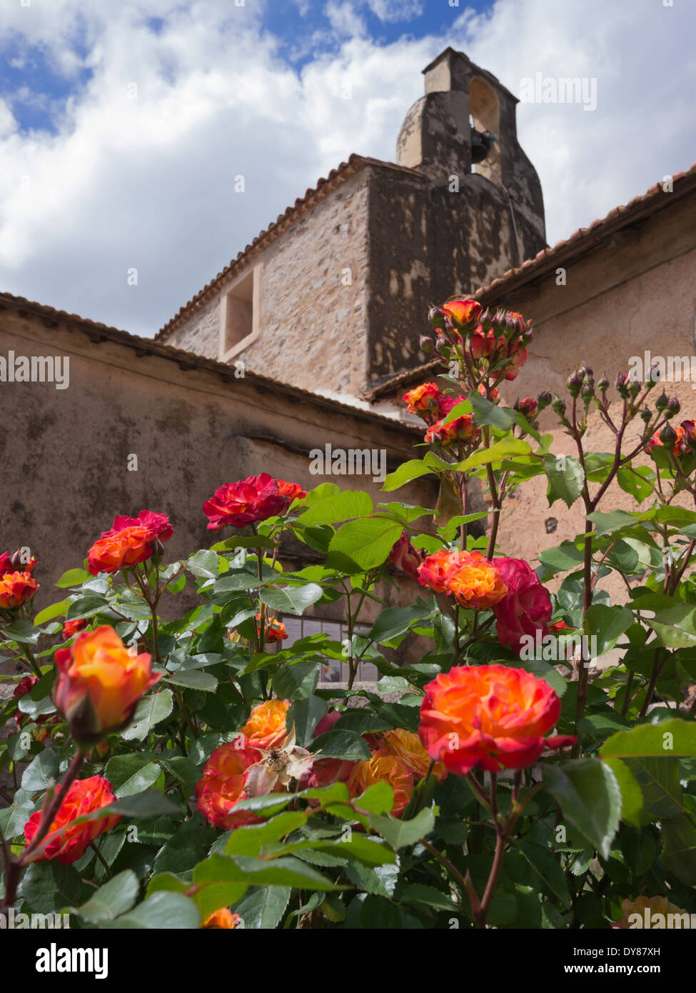 Celles hi-res stock photography and images - Alamy