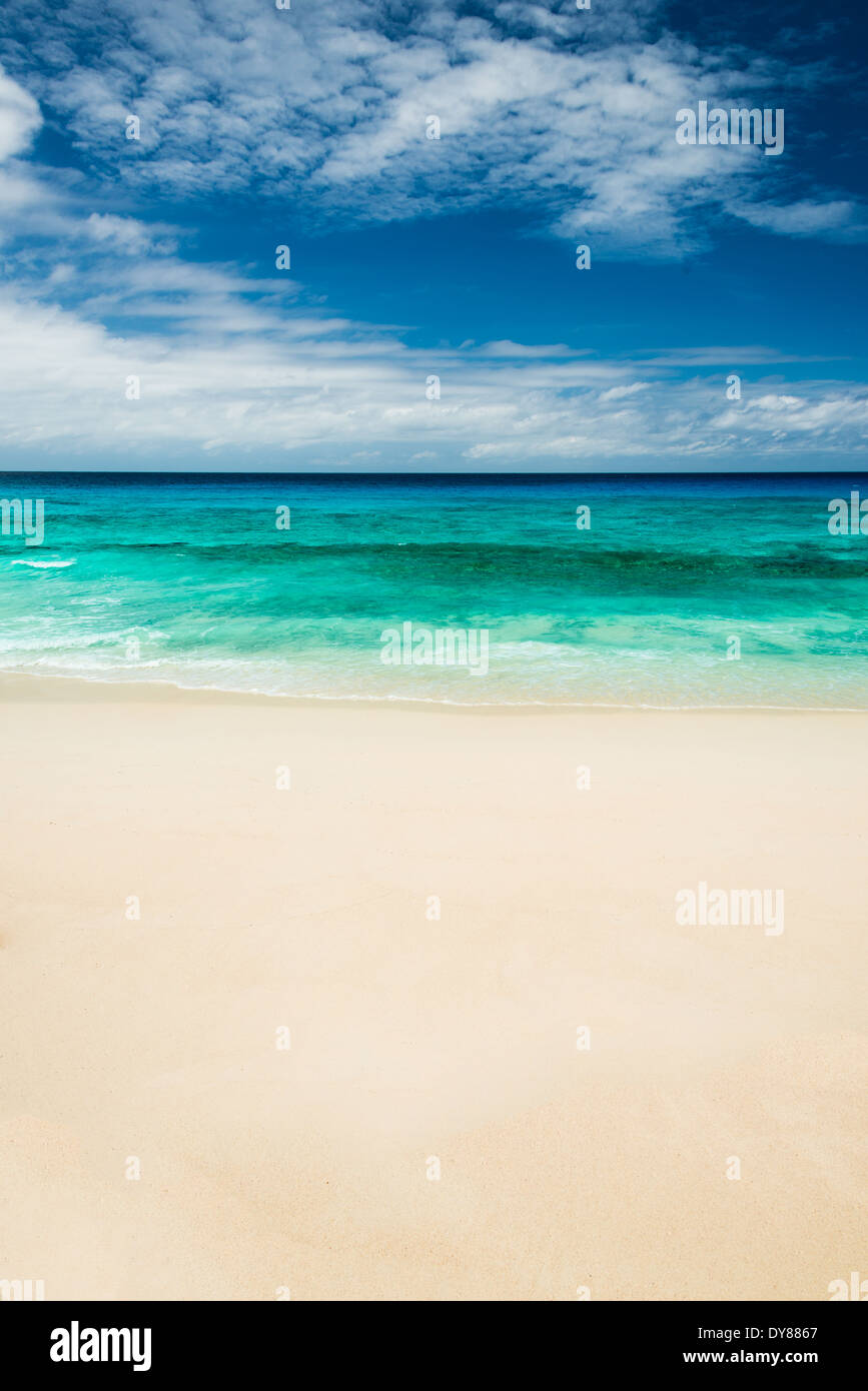 tropical beach with turquoise water Stock Photo - Alamy