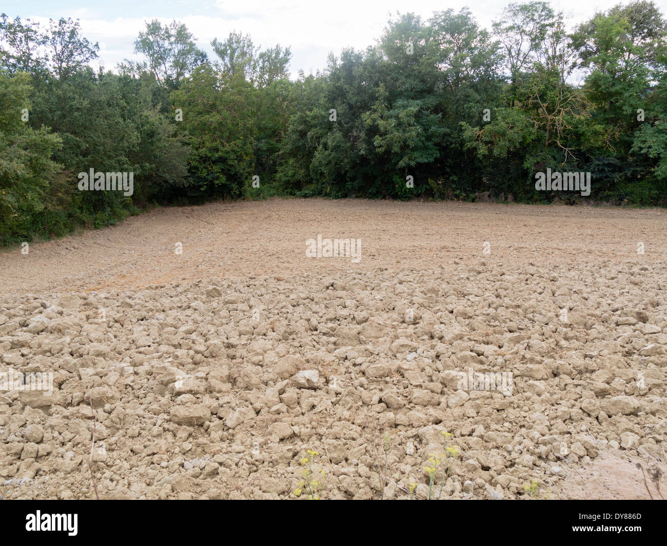 Tilled soil hi-res stock photography and images - Alamy