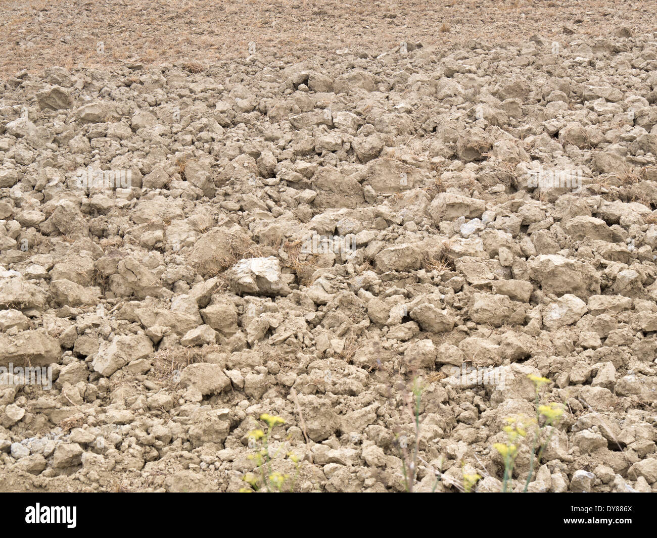Tilled soil hi-res stock photography and images - Alamy