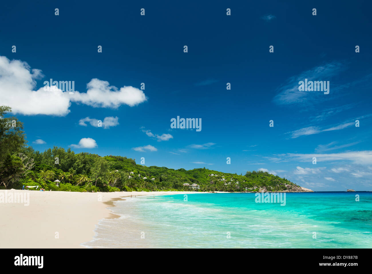 tropical beach with turquoise water Stock Photo - Alamy