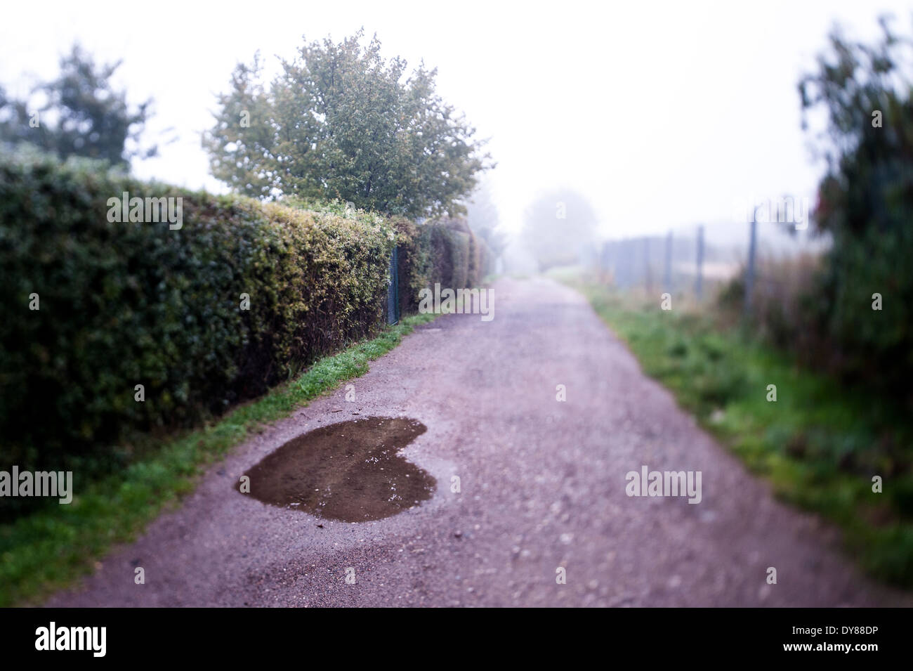 Water puddle in heart shape hi-res stock photography and images - Alamy