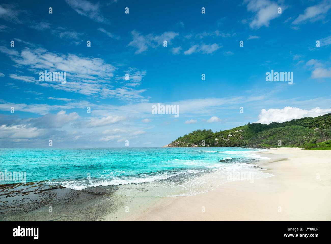 tropical beach with turquoise water Stock Photo - Alamy