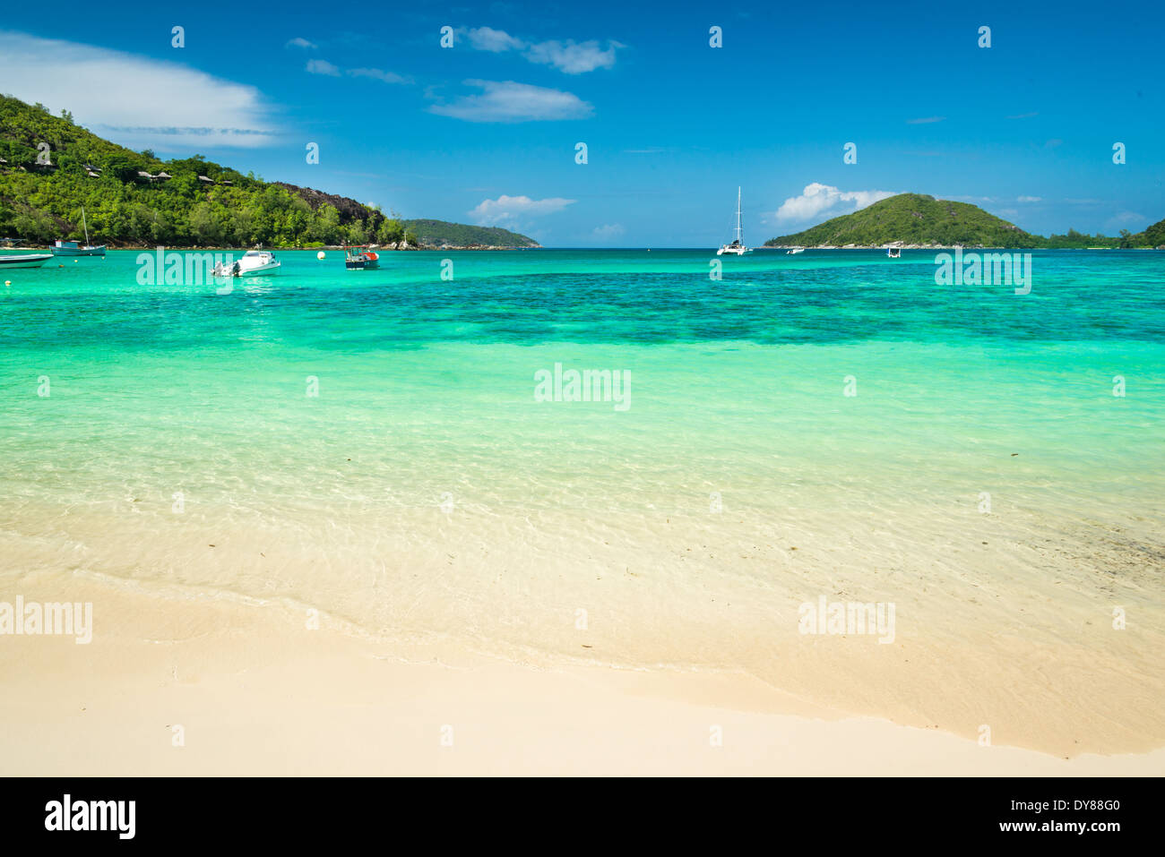tropical beach with turquoise water Stock Photo - Alamy