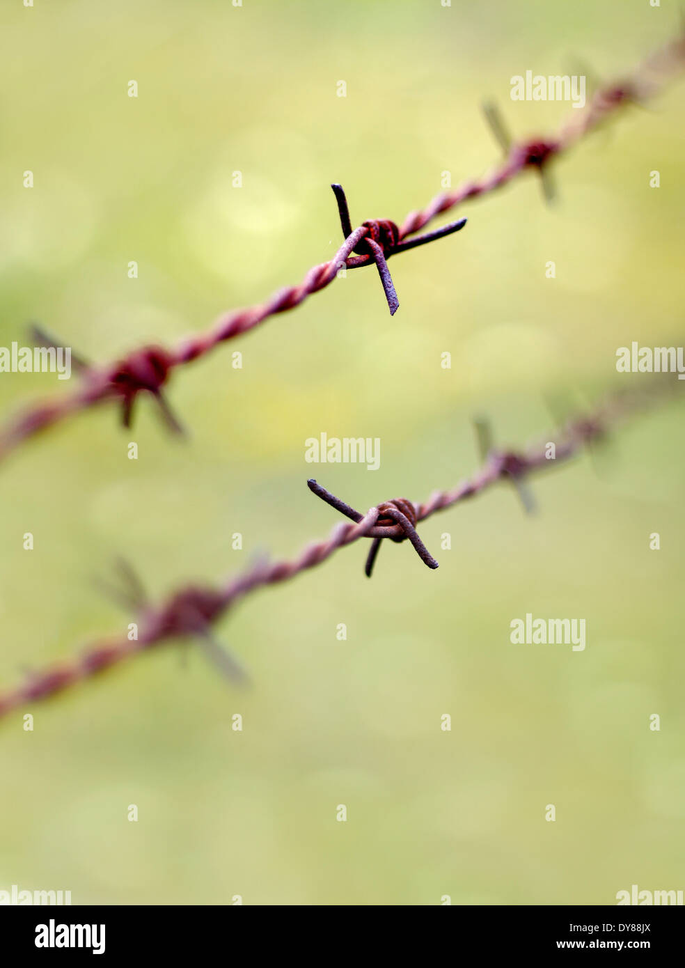 Rusty barbed wire blurred hi-res stock photography and images - Alamy