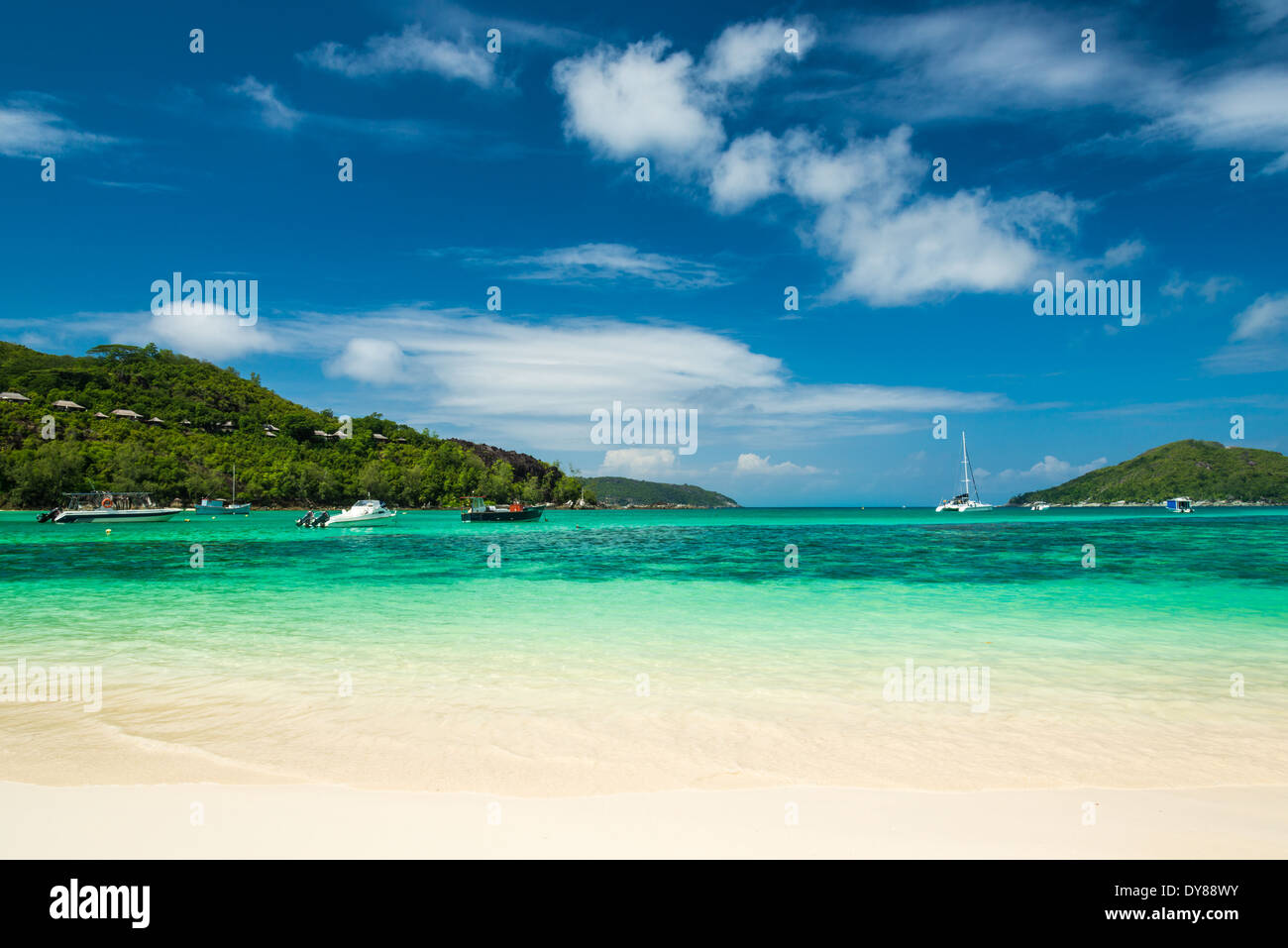 tropical beach with turquoise water Stock Photo - Alamy