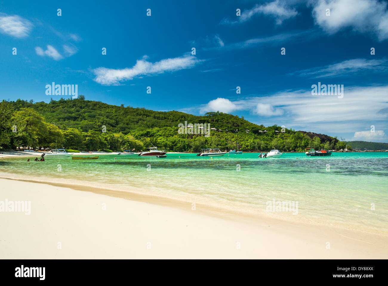 tropical beach with turquoise water Stock Photo - Alamy