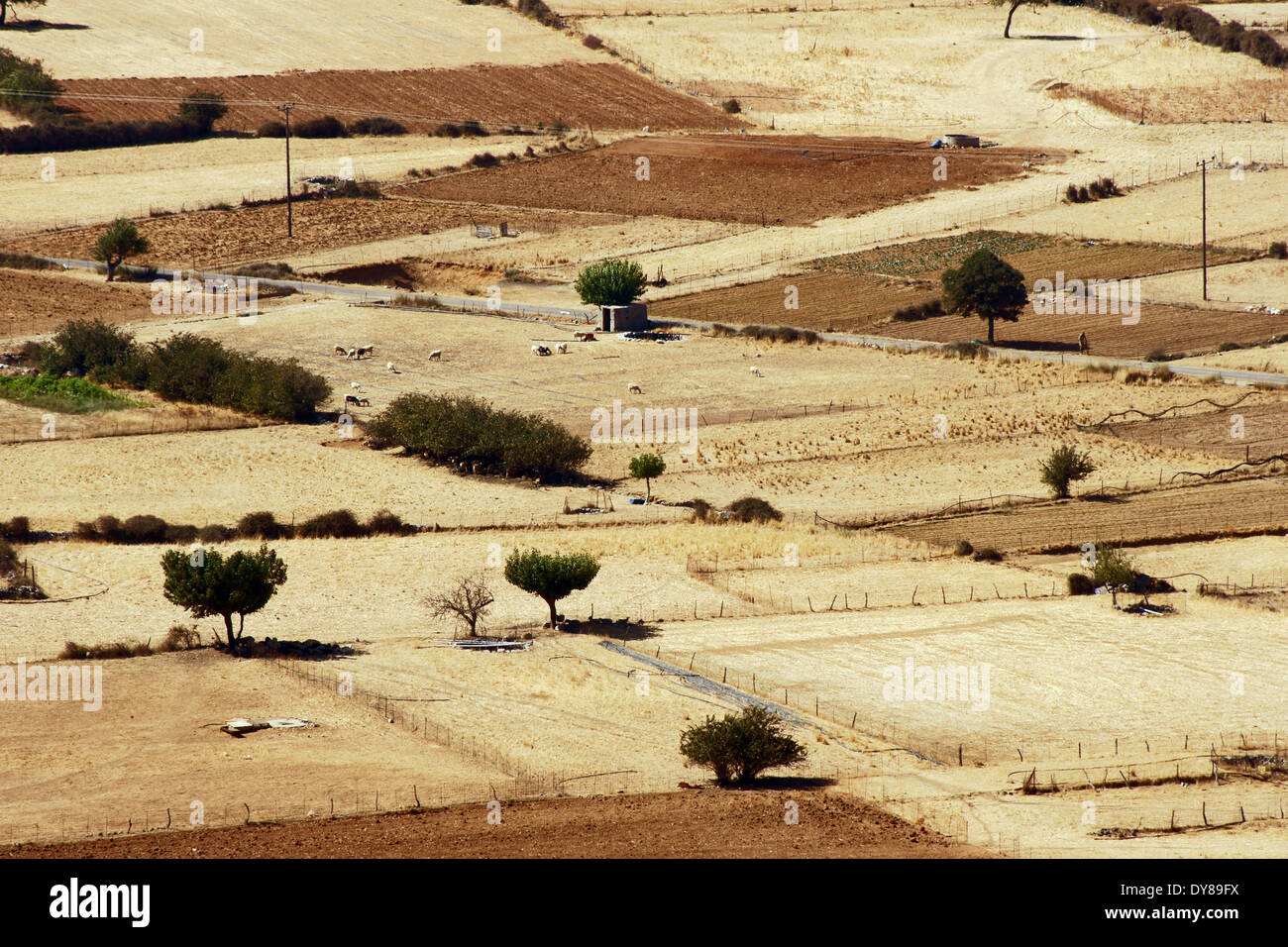 Rural landscape on the island of Crete, Greece Stock Photo - Alamy