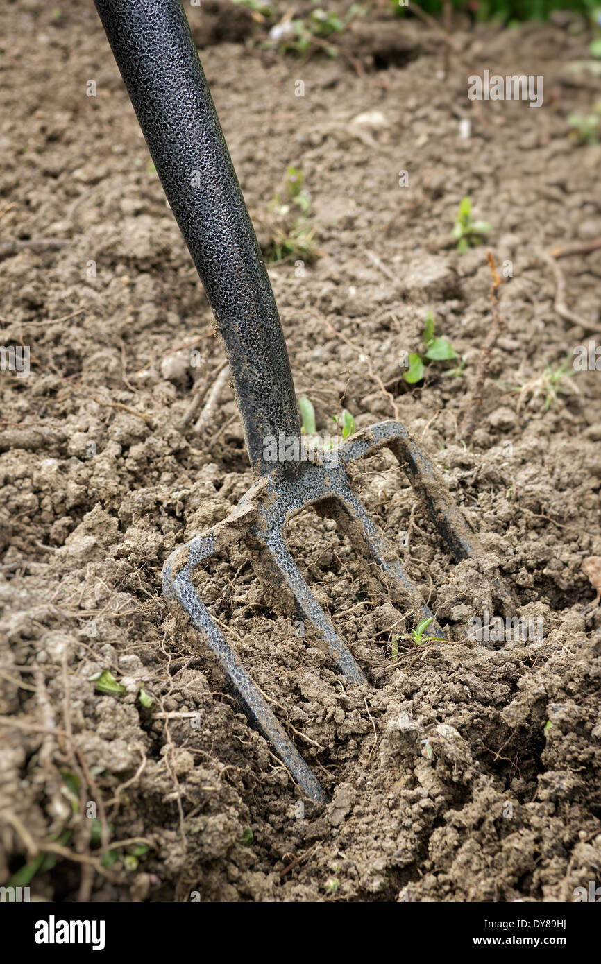 Soil aeration gardening hi-res stock photography and images - Alamy